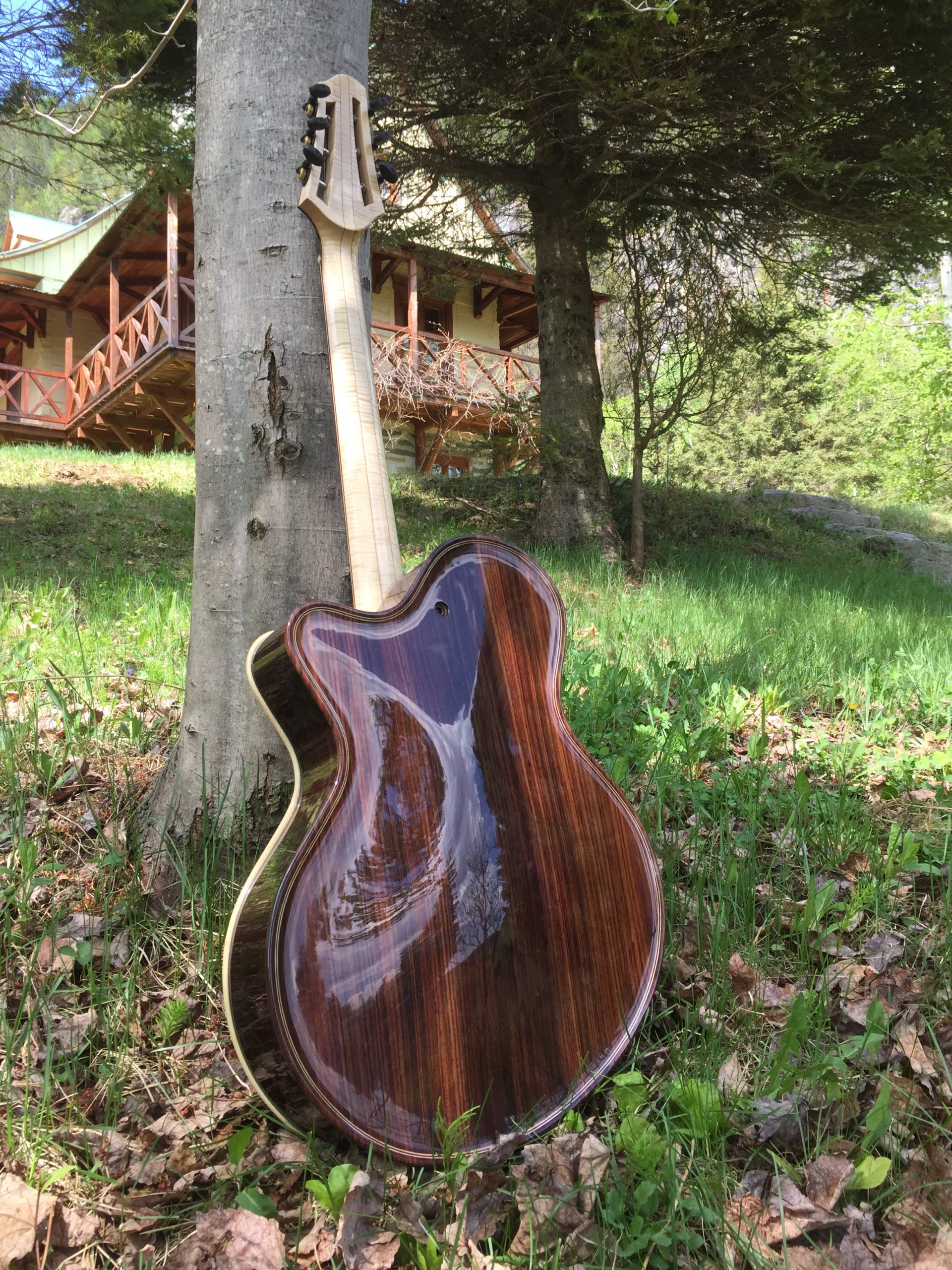 IMG_2838 | Modern Mojo Guitars